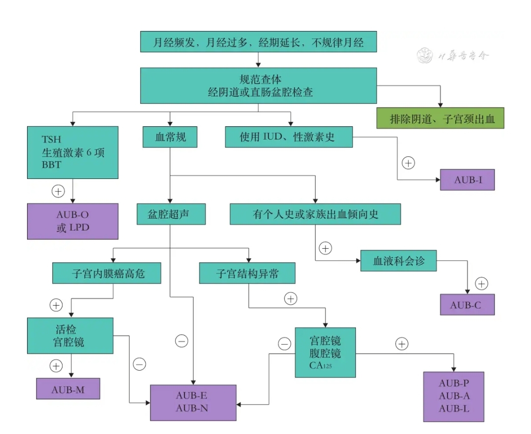 AUB-O:排卵障碍相关异常子宫出血_功能性子宫出血_介绍_治疗方式 - 好大夫在线